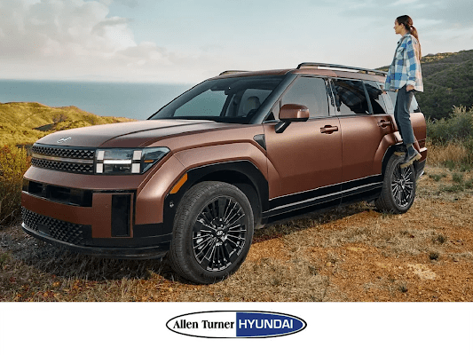 Allen Turner Hyundai - FloridaCarDealers.net